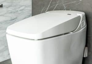 Every Type of Bidet Explained with Pictures