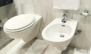 Every Type of Bidet Explained with Pictures