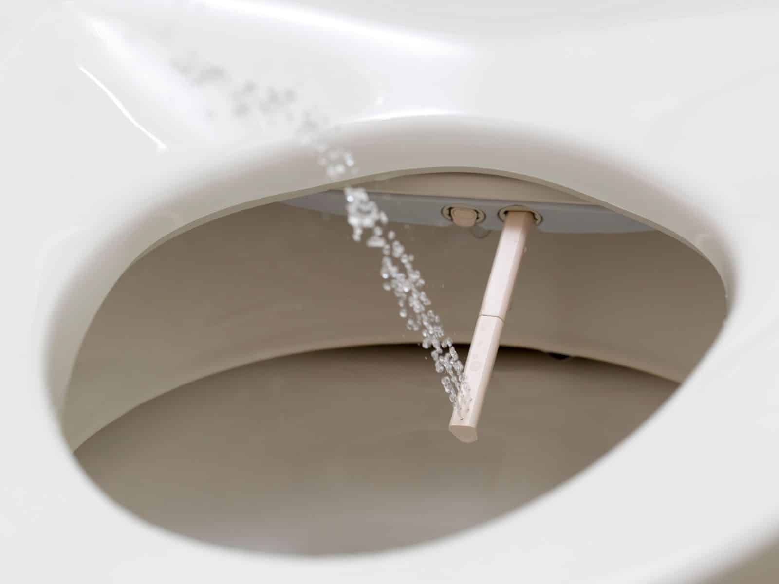 A Complete Guide To Cleaning A Bidet - Bidet Tips That Will Save You Money